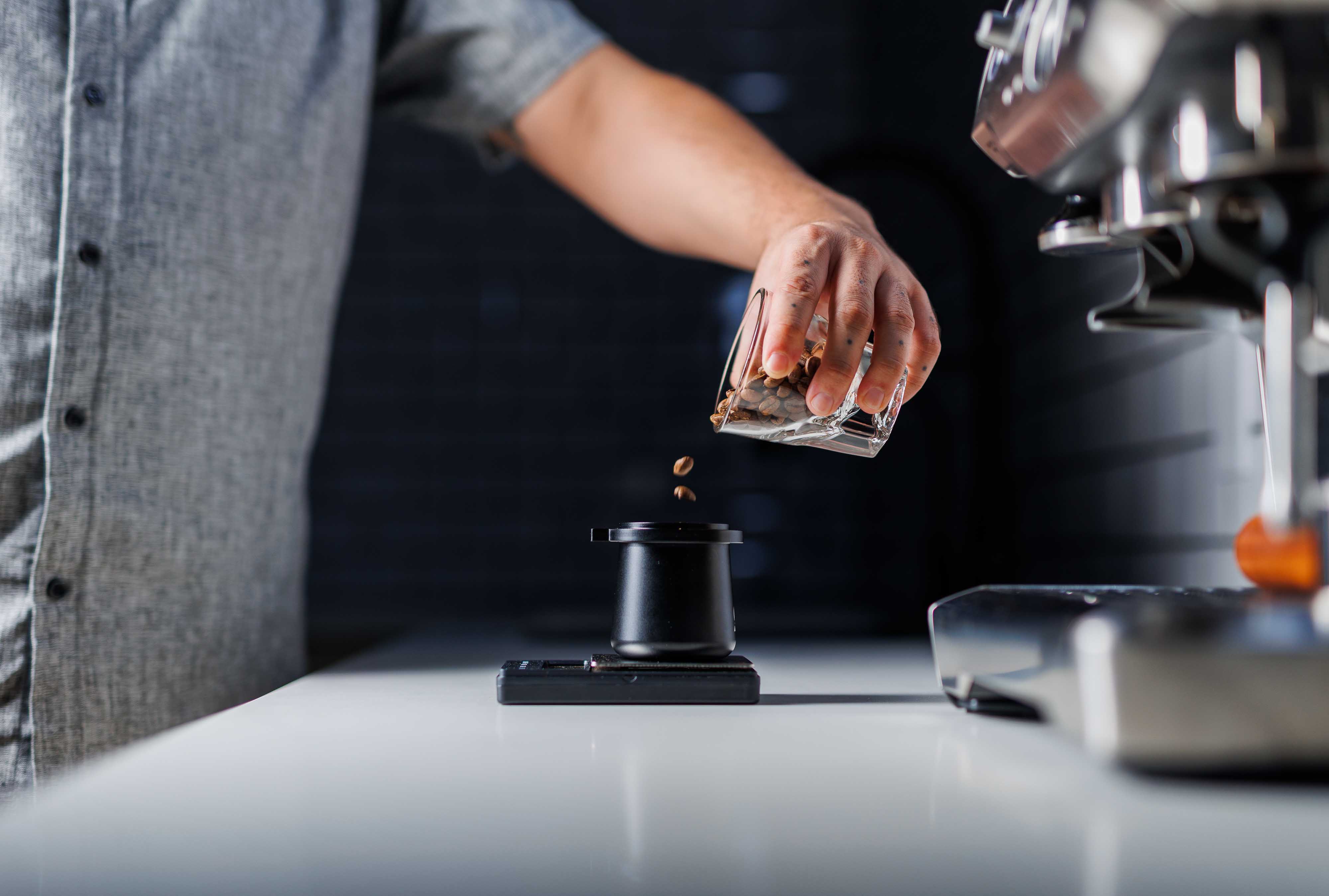 Dosing Cups – Evergreen Coffee Co